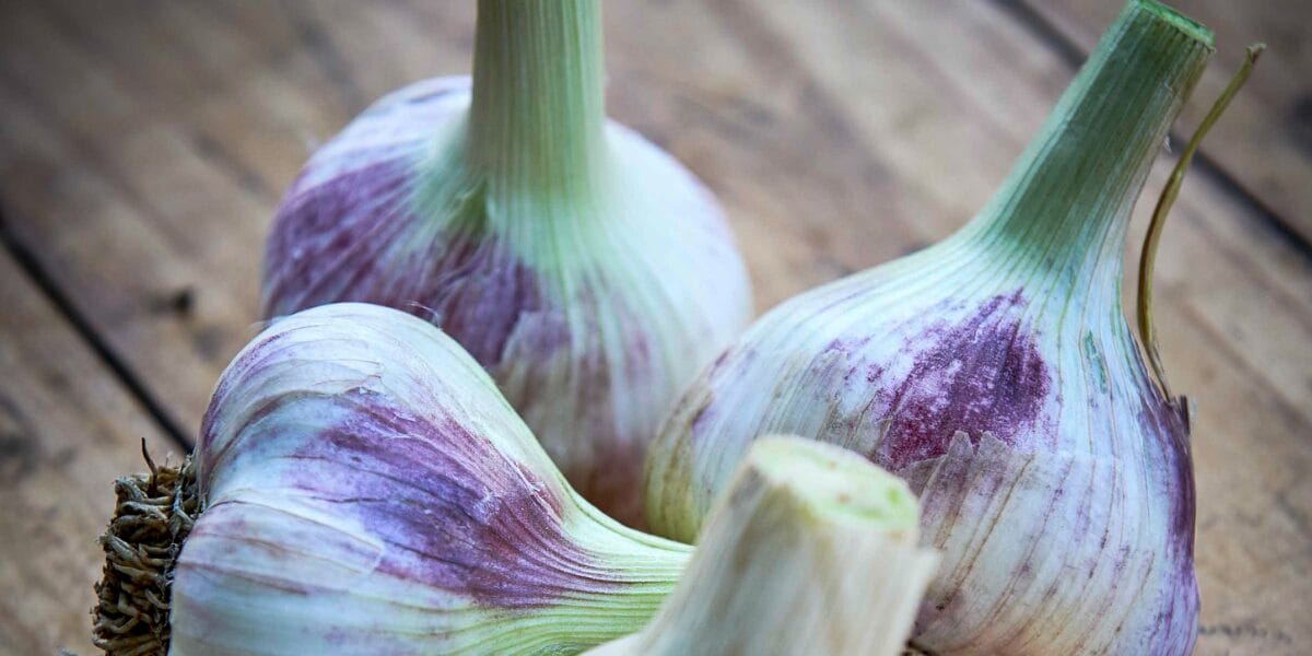 Garlic Marketplace - Australian Garlic Industry Assocation